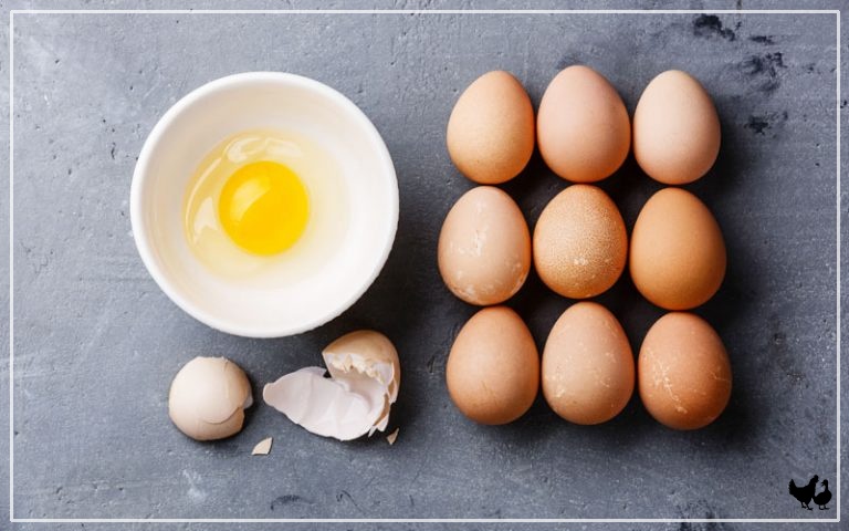 Guinea Fowl Eggs - Taste, Nutrition, and Facts - LearnPoultry
