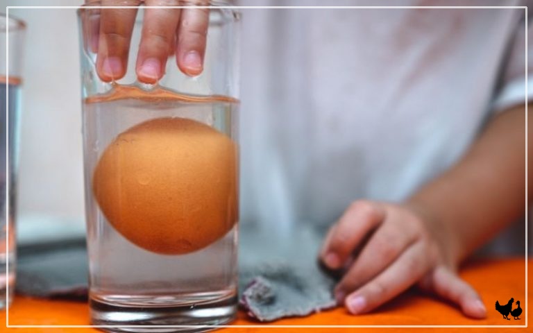 Warm Water Trick for Hatching Eggs - How Does This Work? - LearnPoultry
