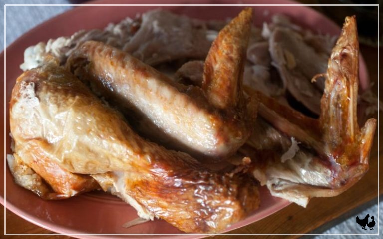 Can You Eat Peacock? - LearnPoultry